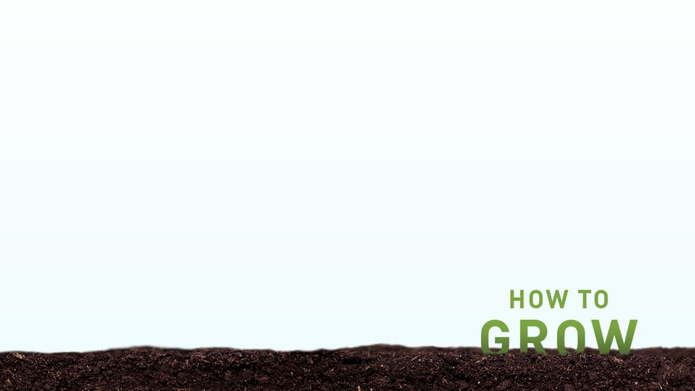 How to Grow Resources